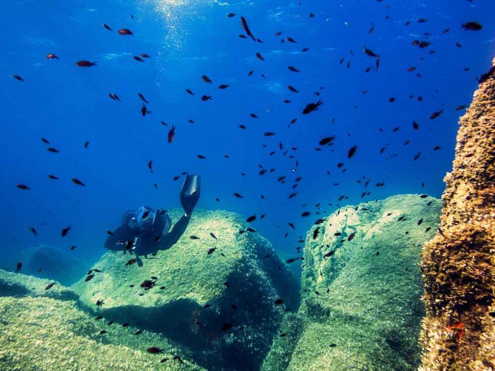 Scuba Diving Indonesia | Find Top Dive Shops & Liveaboards