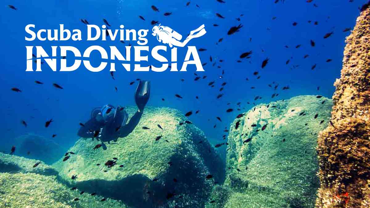 Top Scuba Diving Gear for Indonesia | Essential & Professional ...